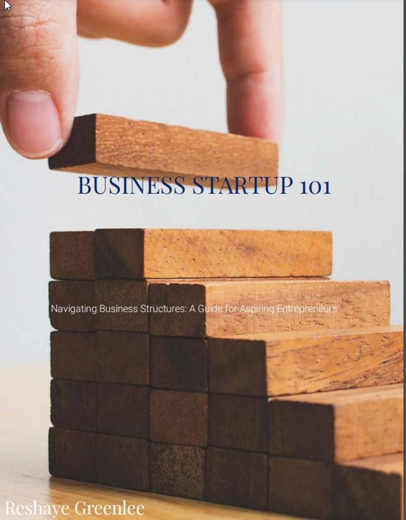 Navigating Business Structures: A Guide for Aspiring Entrepreneurs - Etsy