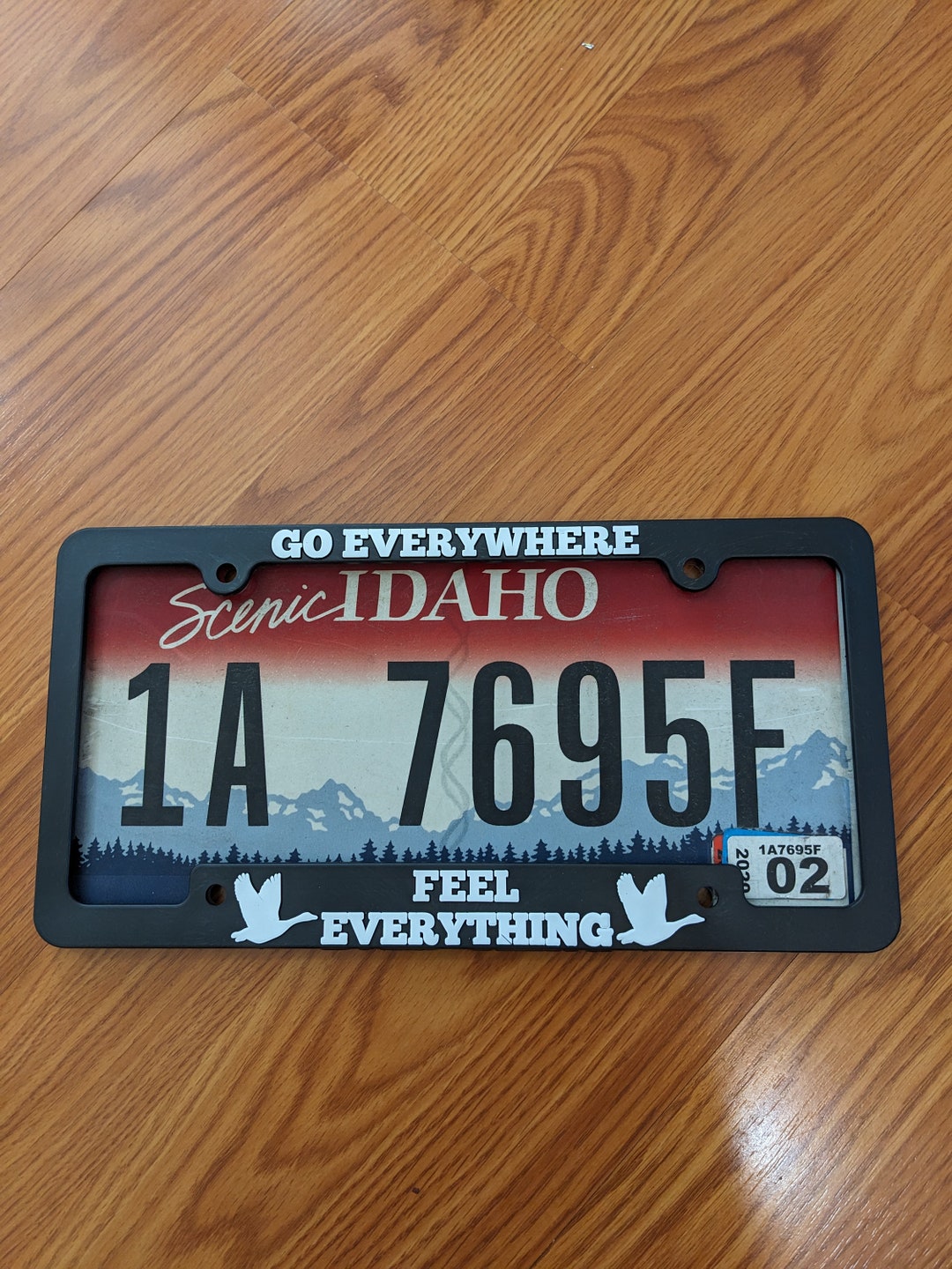 Go Everywhere Feel Everything Goose Inspired License Plate Frame - Etsy