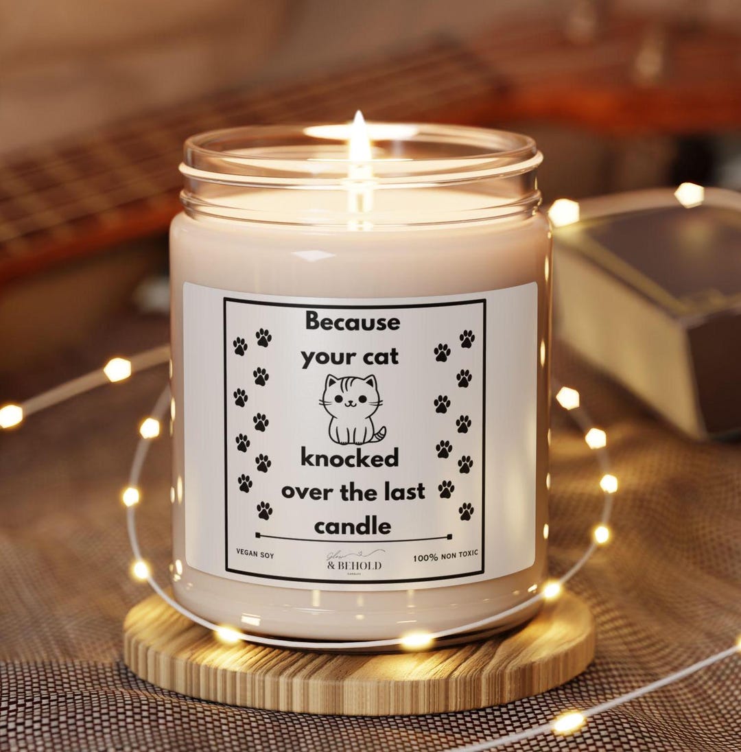 Because Your Cat Knocked Over the Last Candle, Funny Candle, Cat Mom ...