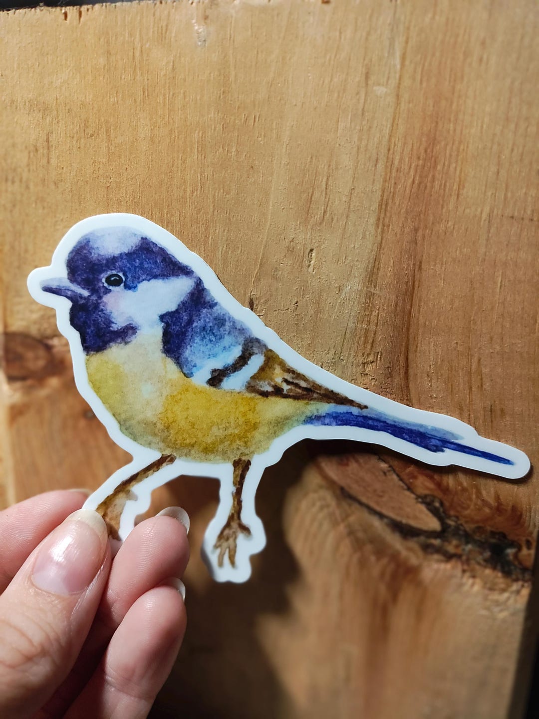Hand Painted Sparrow Nature Themed Sticker Water Color Bird - Etsy