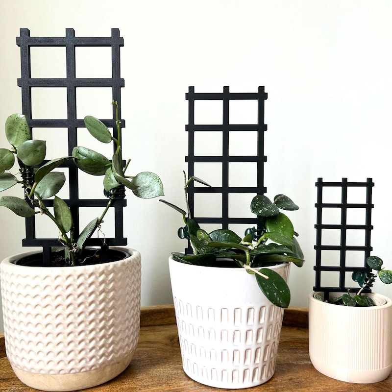 Geometric Trellis - Etsy