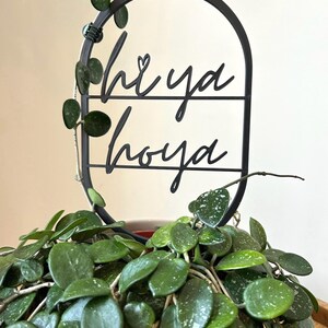 Hiya Hoya Trellis for Climbing Plants, Funny Quote Pot Accessory, Cute ...