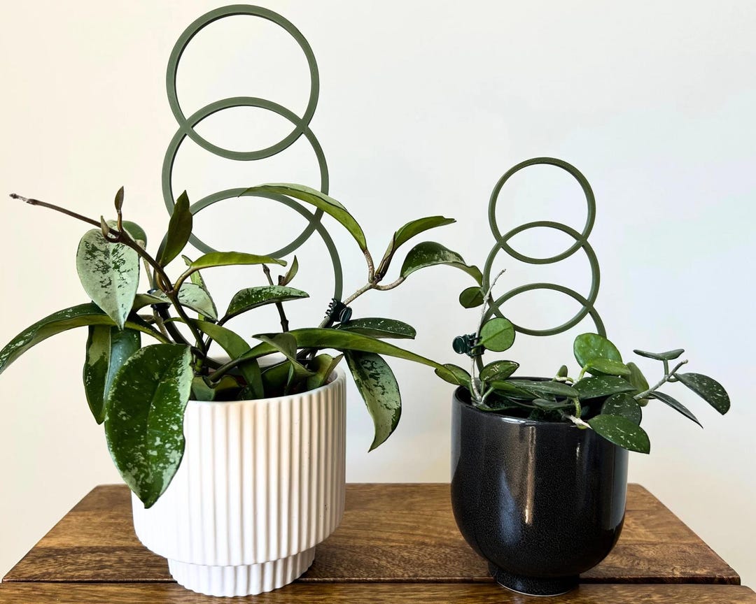 Set of 2 Hoop Trellises for Climbing Plants, Large and Small Vine ...