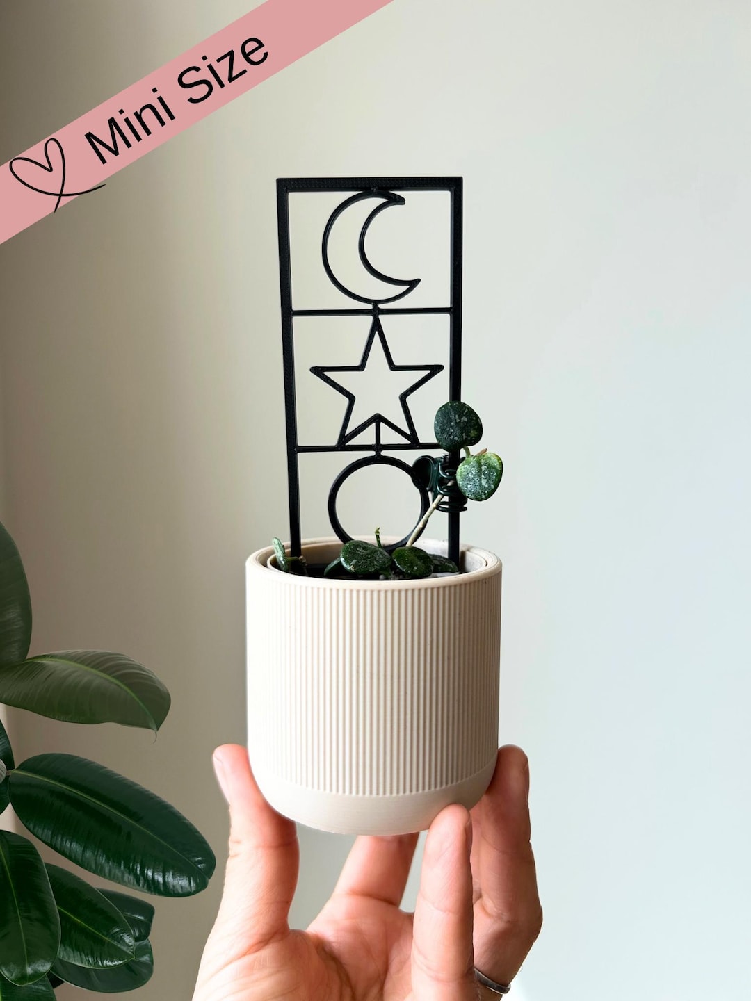 Mini Celestial Themed Trellis for Plants, Cute Gift for Plant Lover ...