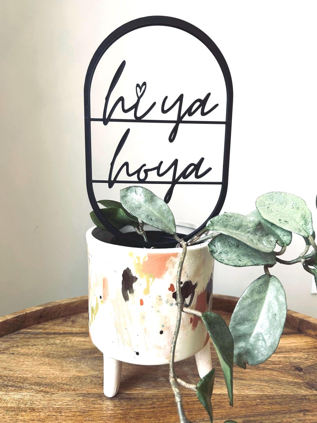 Hiya Hoya Trellis for Climbing Plants, Funny Quote Pot Accessory, Cute ...