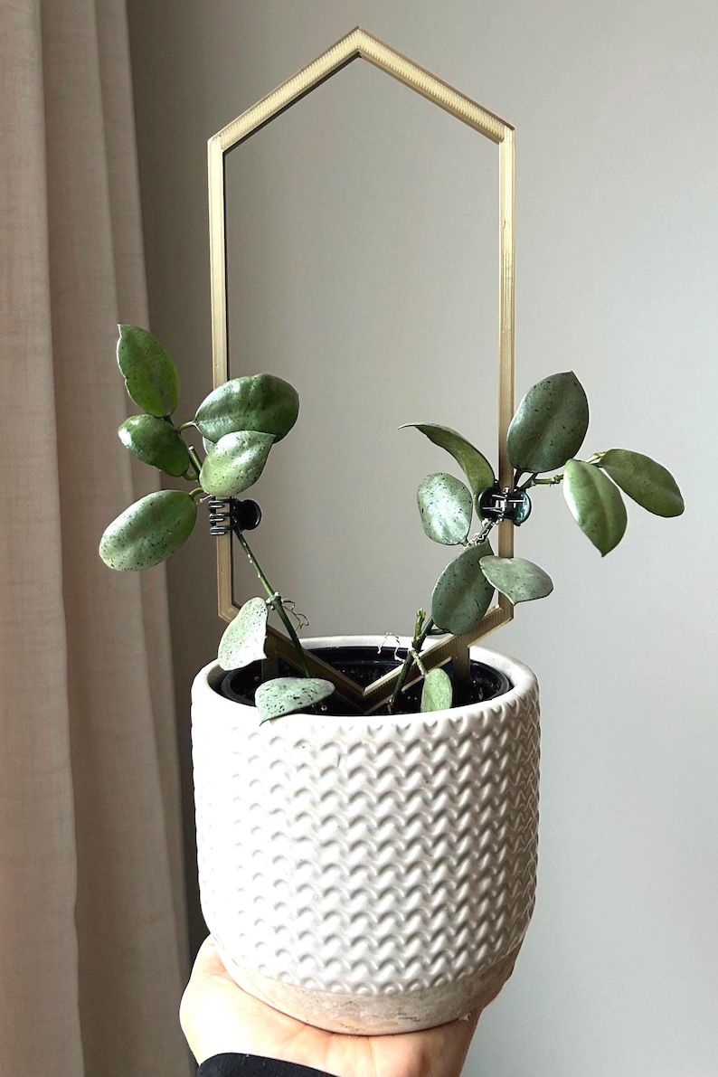 Hexagon Plant Trellis for Hoya, Modern Geometric Plant Decor - Etsy