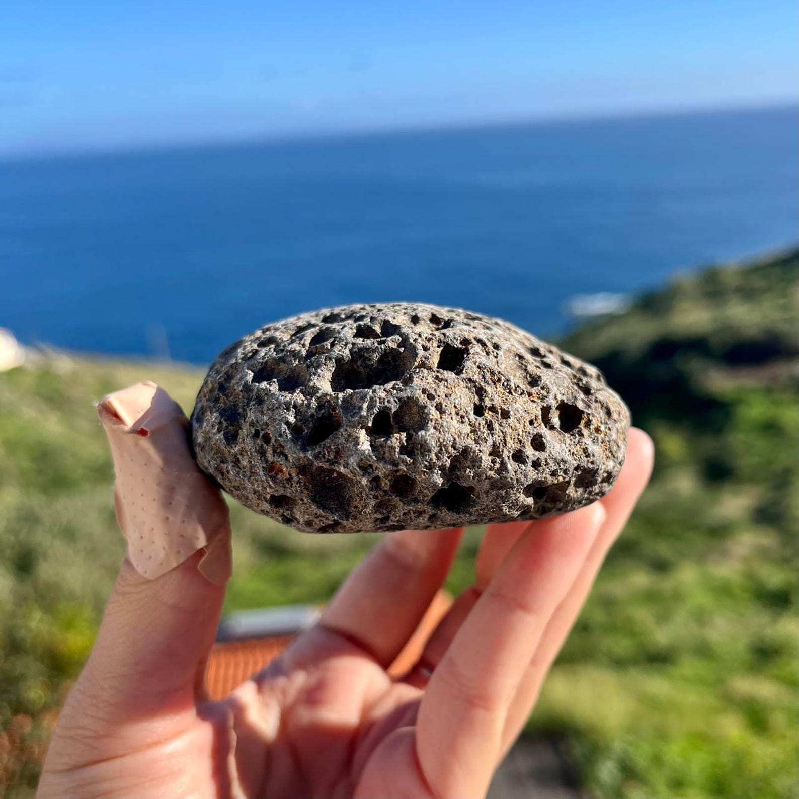 Natural Round Lava Stone From the Island of Madeira - for Terrariums ...