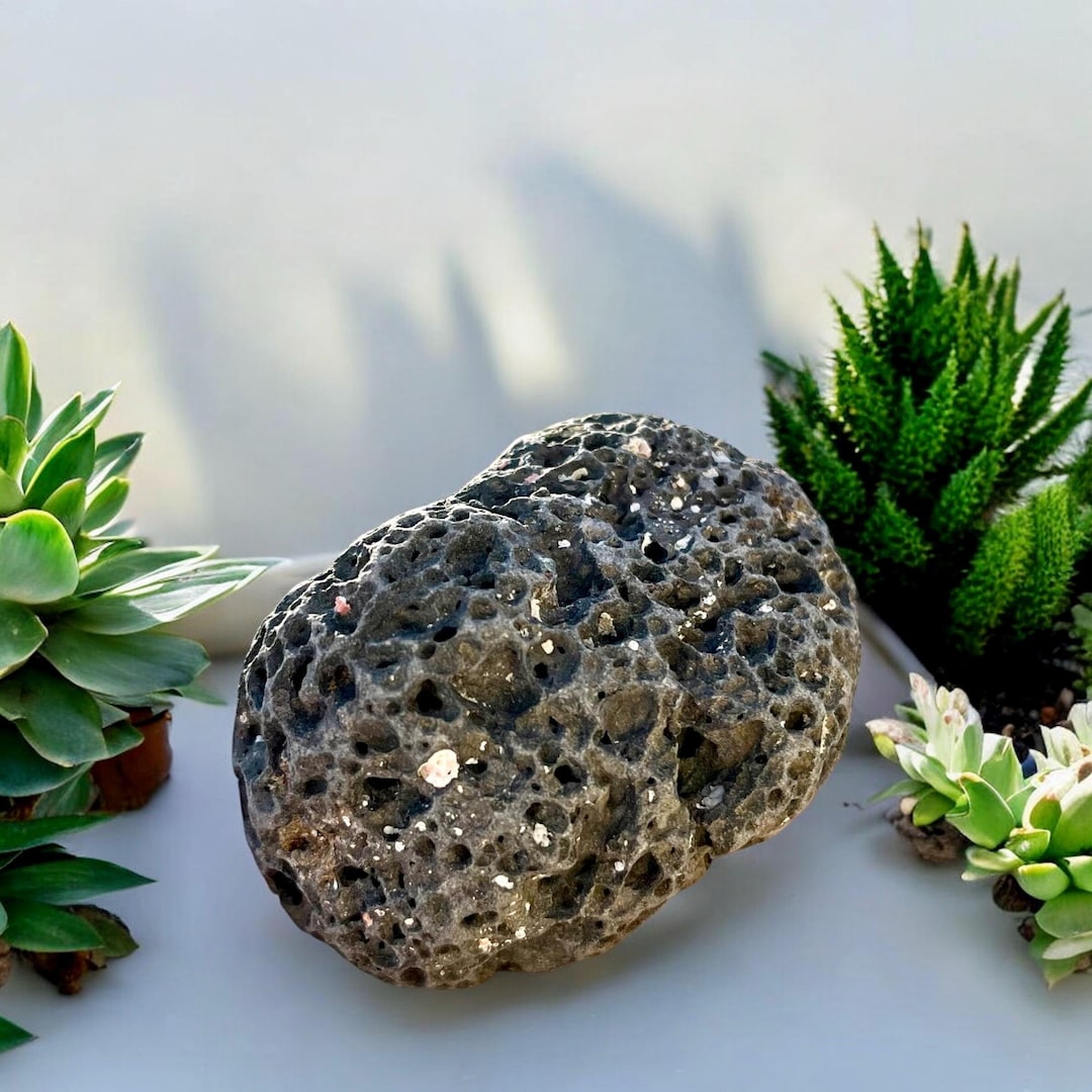 Rustic Volcanic Stone – Handpicked Rock for Terrariums, Air Plants, and ...