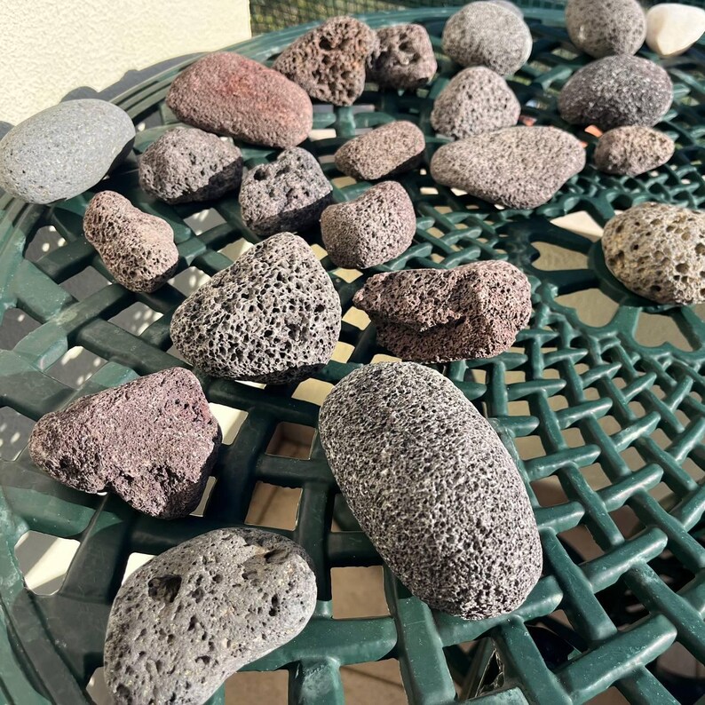 Natural Round Lava Stone From the Island of Madeira - for Terrariums ...