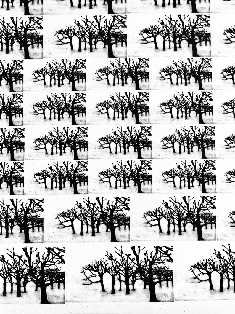 Tree Decals Tree full Sheet Decals Decals for Enameling - Etsy