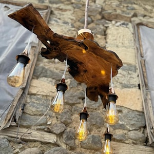 Tree Root Chandelier - Etsy