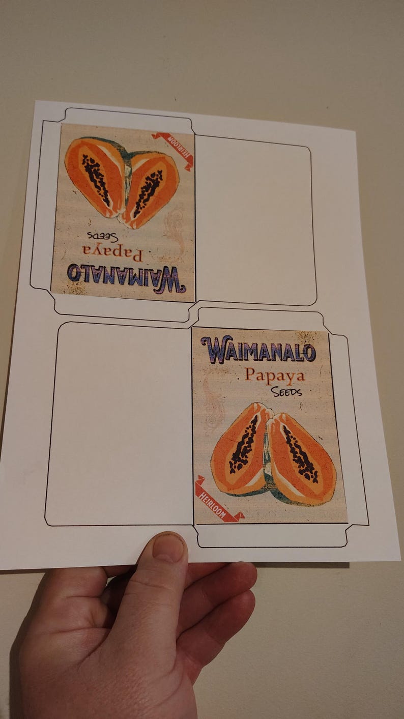 Waimanalo Papaya Seed Packet Printable – Rare Tropical Fruit PDF – DIY ...