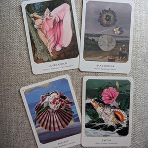 The Seashell Oracle Deck - Etsy