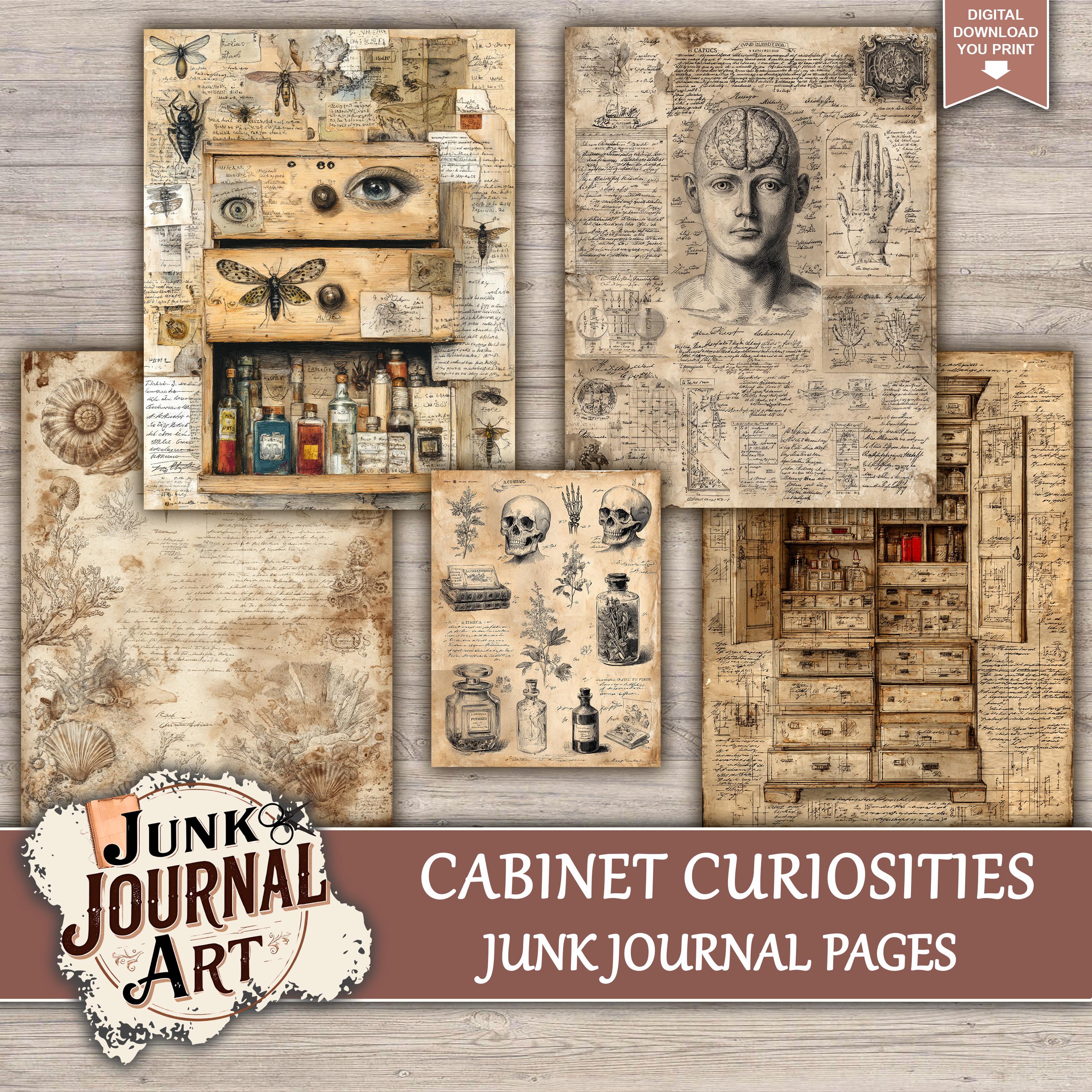 Cabinet of Curiosities Junk Journal Printable Pages - Vintage Science ...