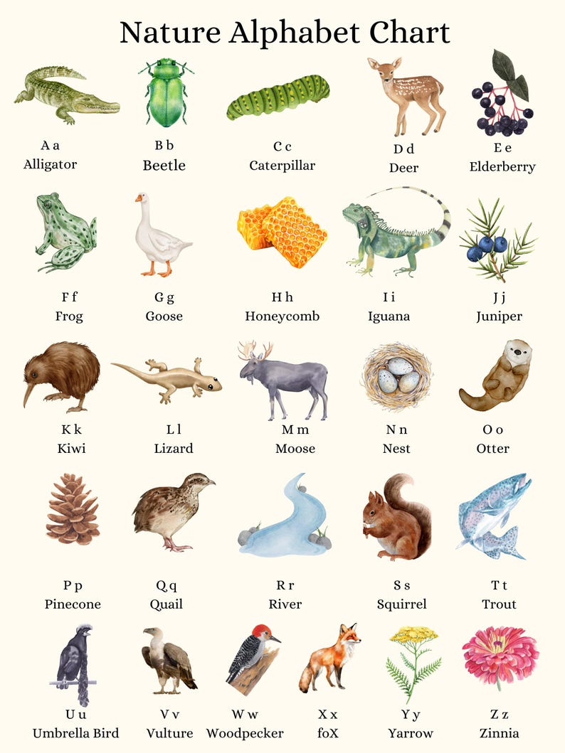 Nature Alphabet Printable Chart Instant Download Educational Decor for ...