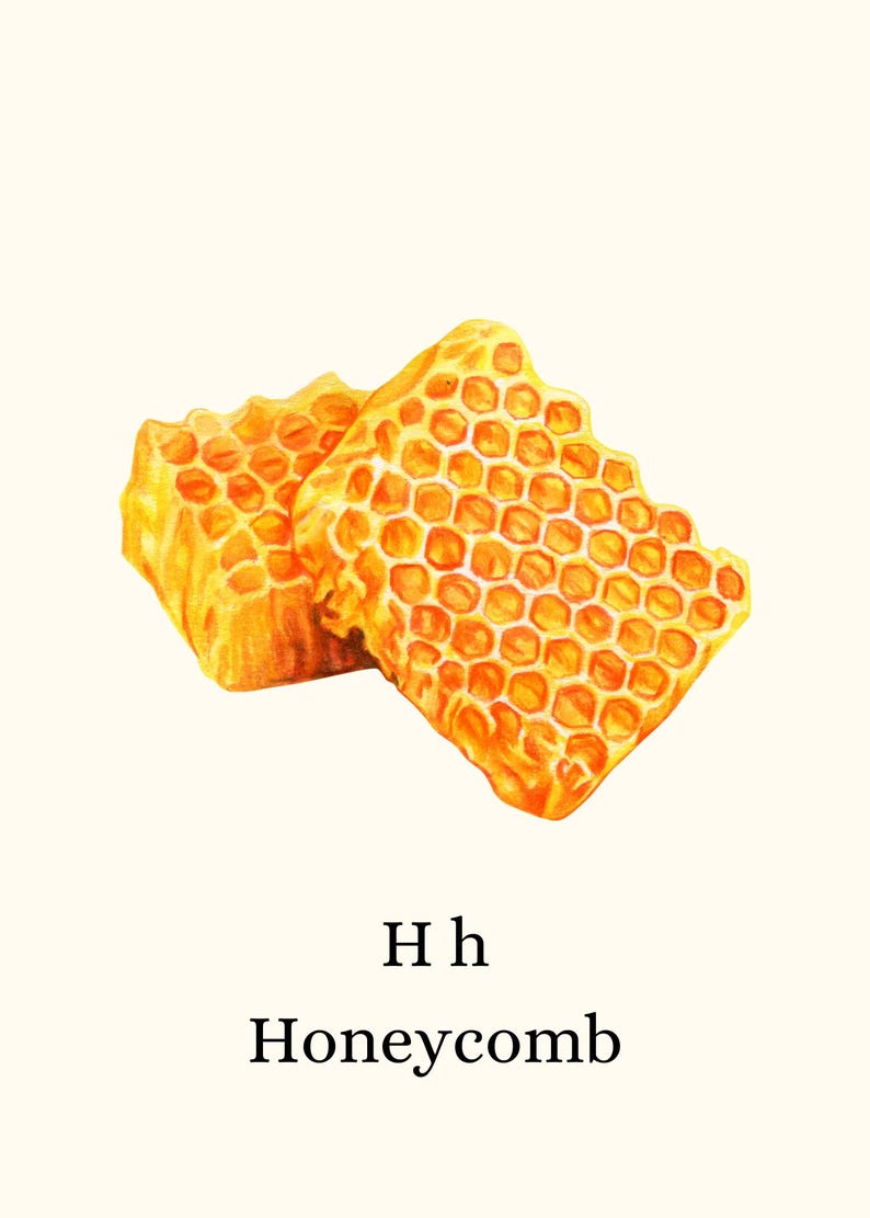 Nature ABC Cards Printable Educational Flash Cards for Kids Nature ...