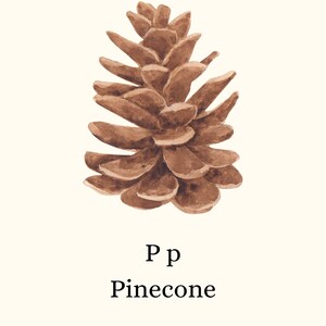 Nature ABC Cards Printable Educational Flash Cards for Kids Nature ...