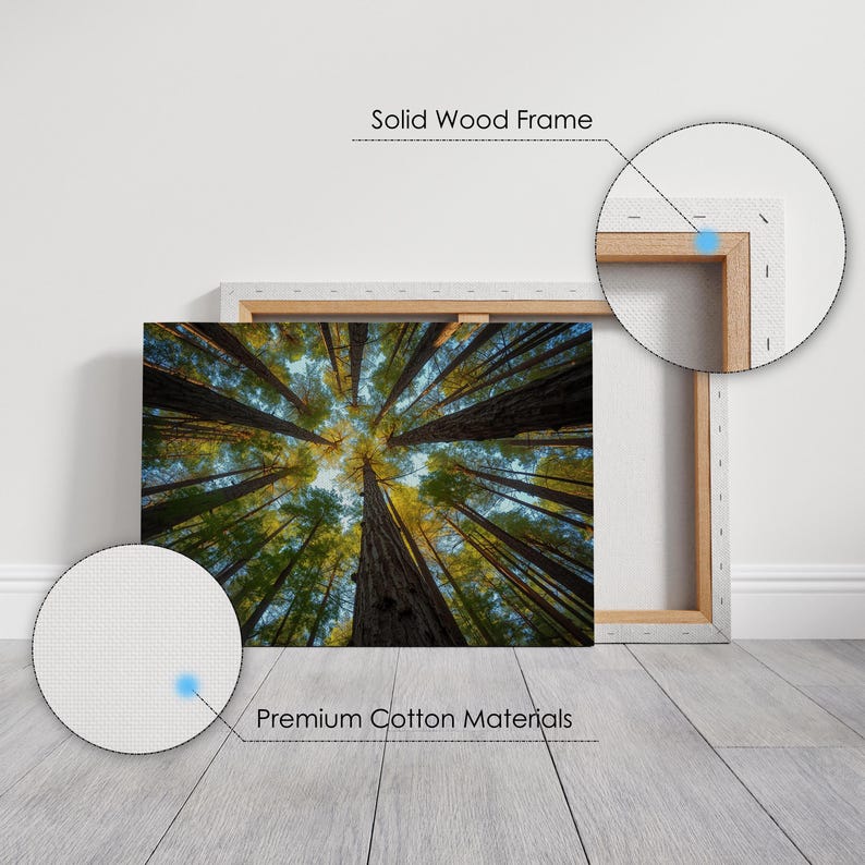 Forest Canopy Canvas Wall Art | Looking up Tall Trees Nature Artwork ...