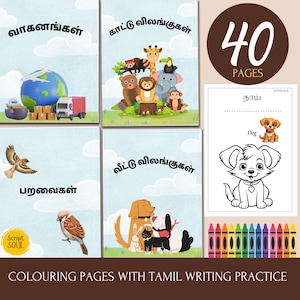 Tamil Learning Workbook: Animals, Birds & Transport Coloring Pages ...