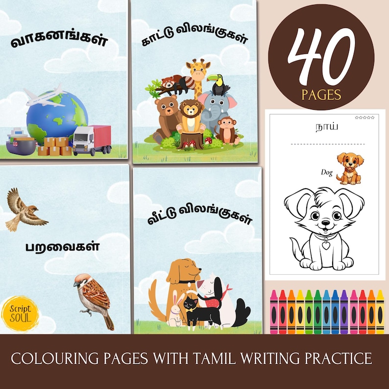 Tamil Learning Workbook: Animals, Birds & Transport Coloring Pages ...