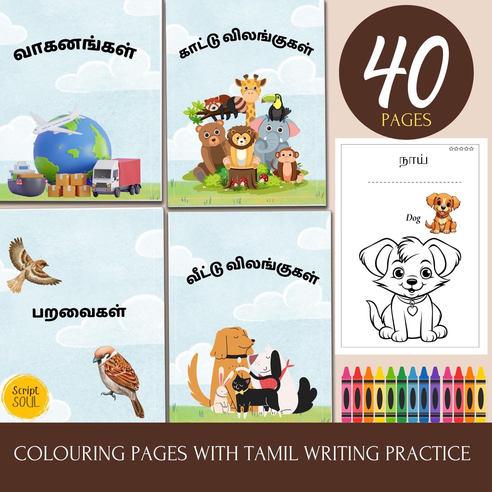 Tamil Learning Workbook: Animals, Birds & Transport Coloring Pages ...