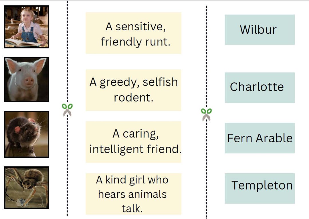 Mix and Match Activity for Charlottes Web - Etsy Australia