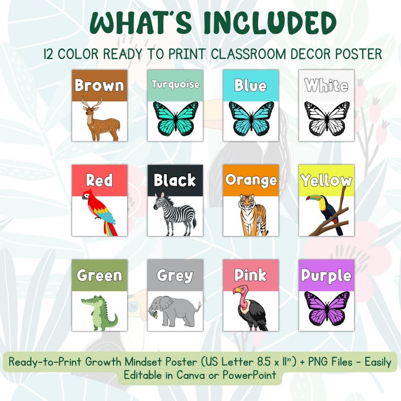 Jungle Classroom Color Posters & Bright Wall Display for Teachers ...