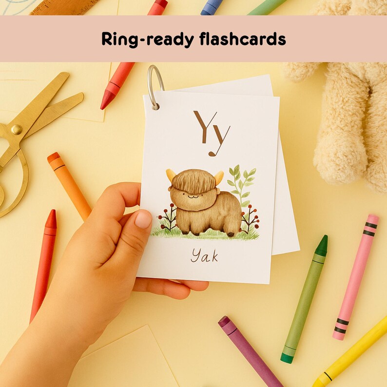 Animal Alphabet Flashcards, A - Z Learning Cards, Montessori Style ...