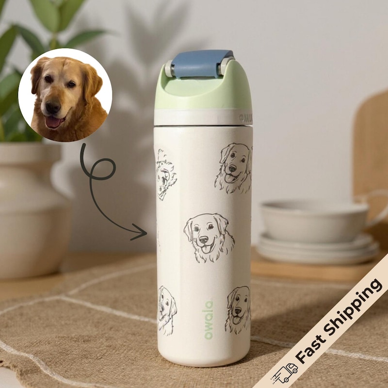 Owala Cat Bottle - Etsy