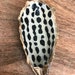 The Addy - Low Tides Design Oyster Trinket/ring Dish in a Cream & Black ...