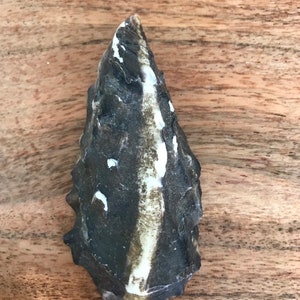 The Addy - Low Tides Design Oyster Trinket/ring Dish in a Cream & Black ...