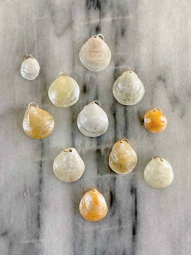 Jingle Shell Pendant – 14k Gold Filled Ring, Delicate Beach Jewelry - Etsy