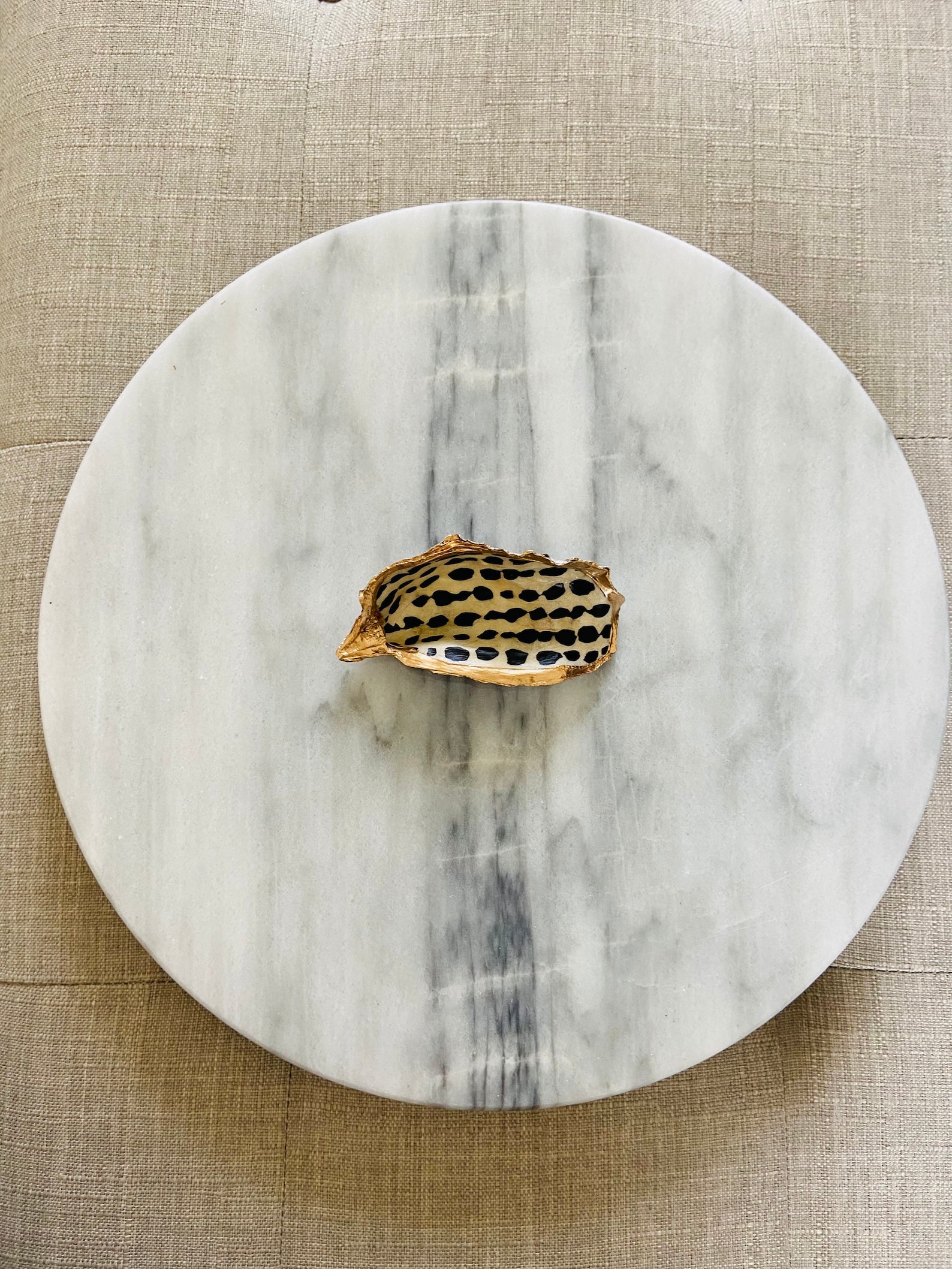 The Addy - Low Tides Design Oyster Trinket/ring Dish in a Cream & Black ...