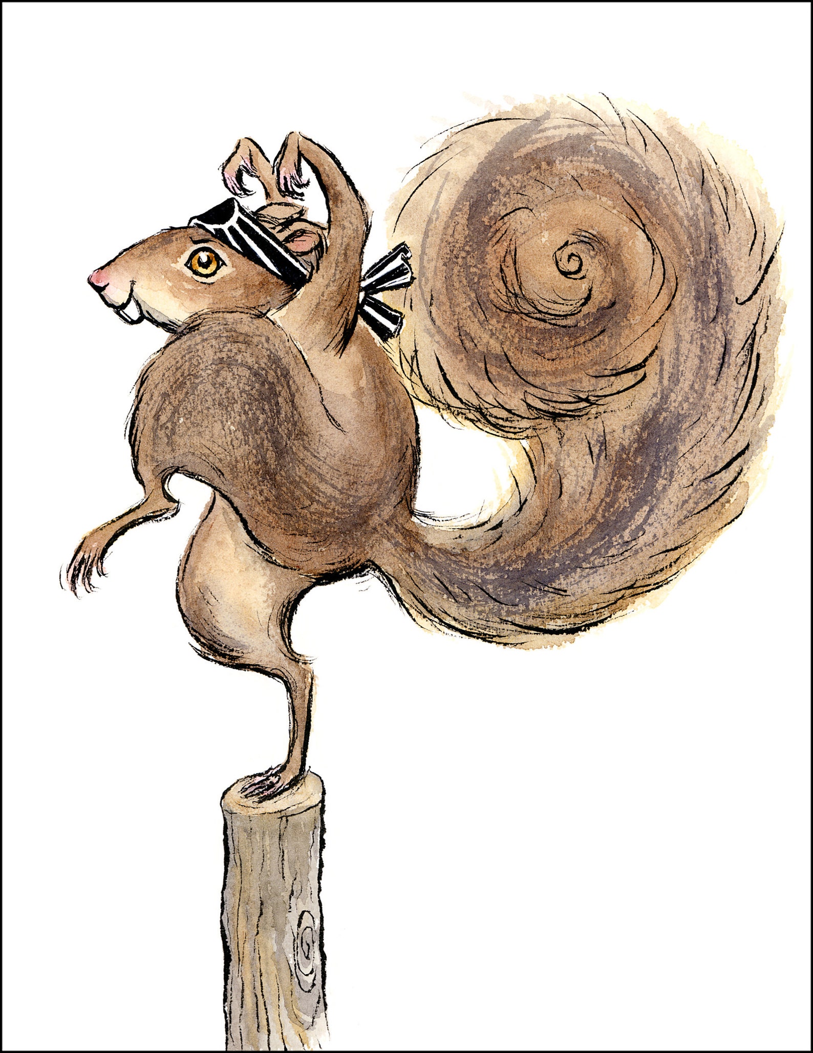 Karate Squirrel Card - Etsy