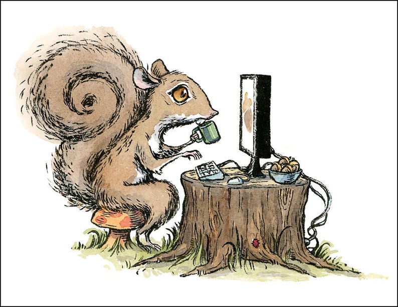 Computer Squirrel Individual Greeting Card - Etsy