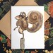 Karate Squirrel Card - Etsy