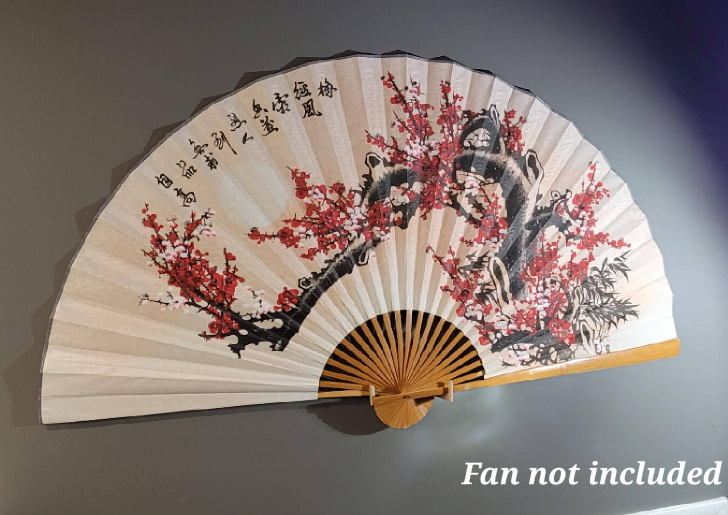 Large Decorative Fan Wall Display - Etsy