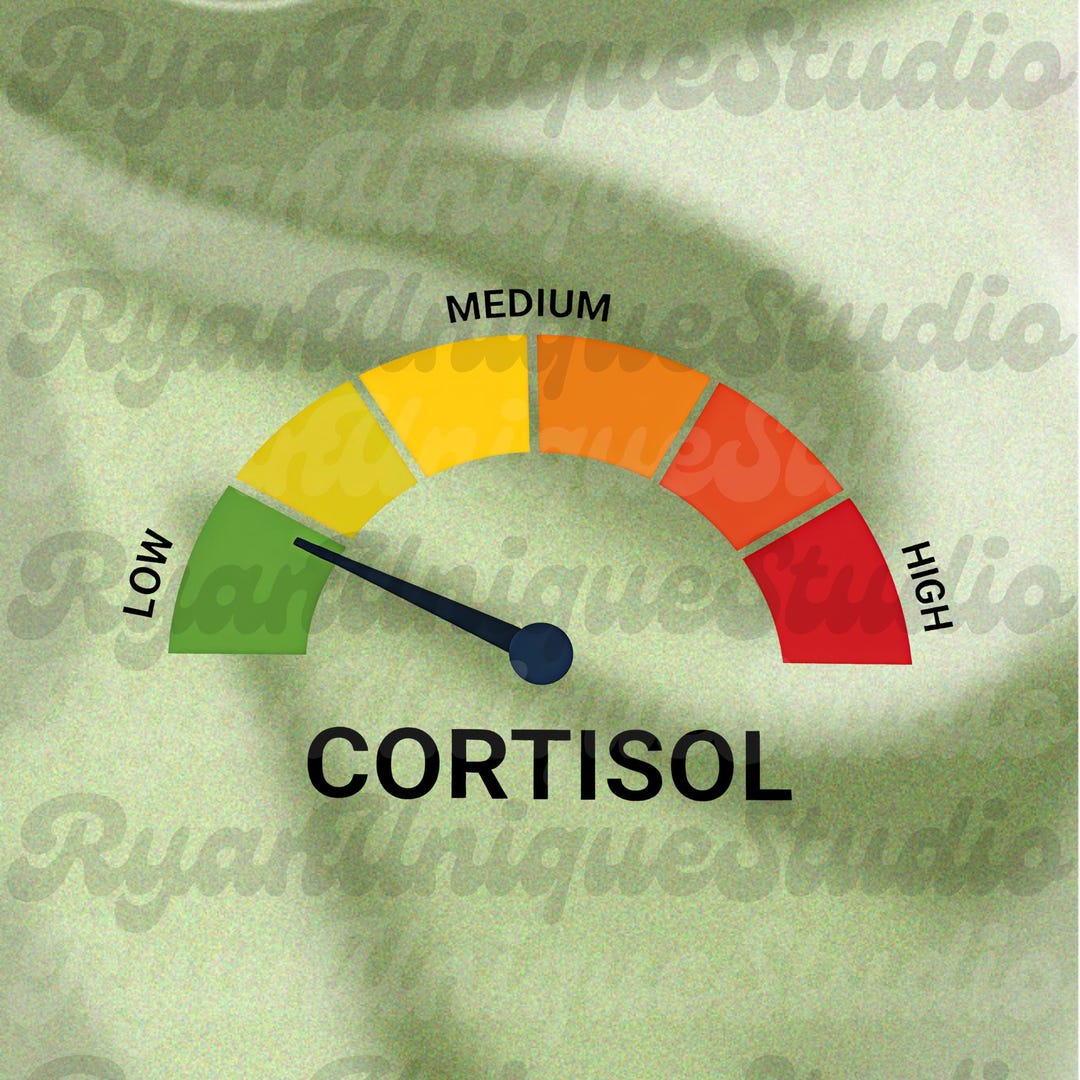 High Cortisol Low Cortisol Meme Sublimation, Relatable Nervous System ...