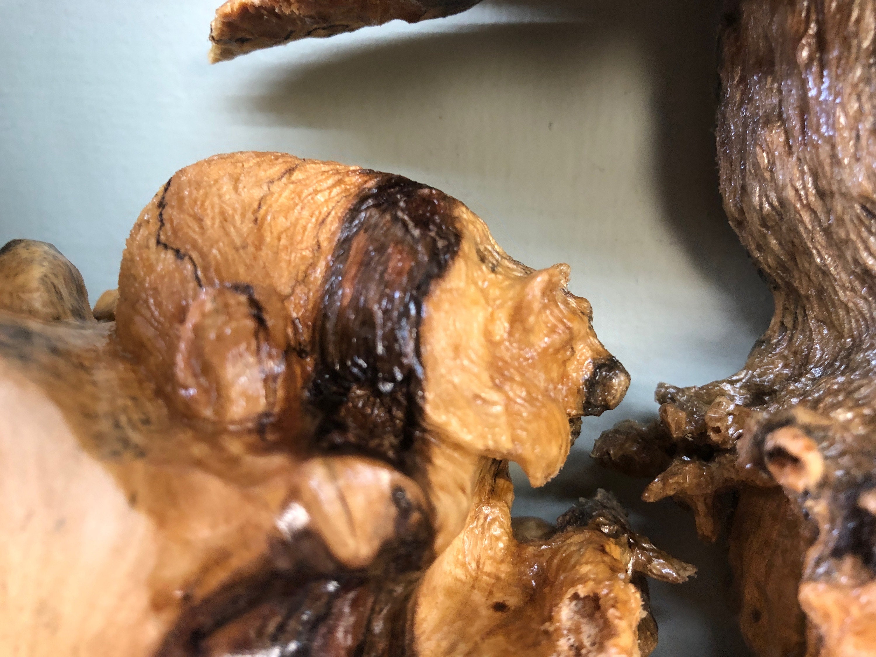 Sleeping bear under tree wood carving wall hanging sculpture by Gary Burns