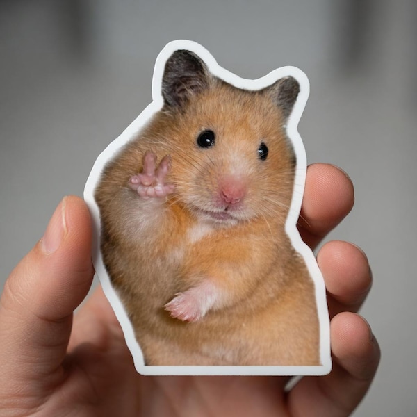 Hamster Peace Sign - Etsy