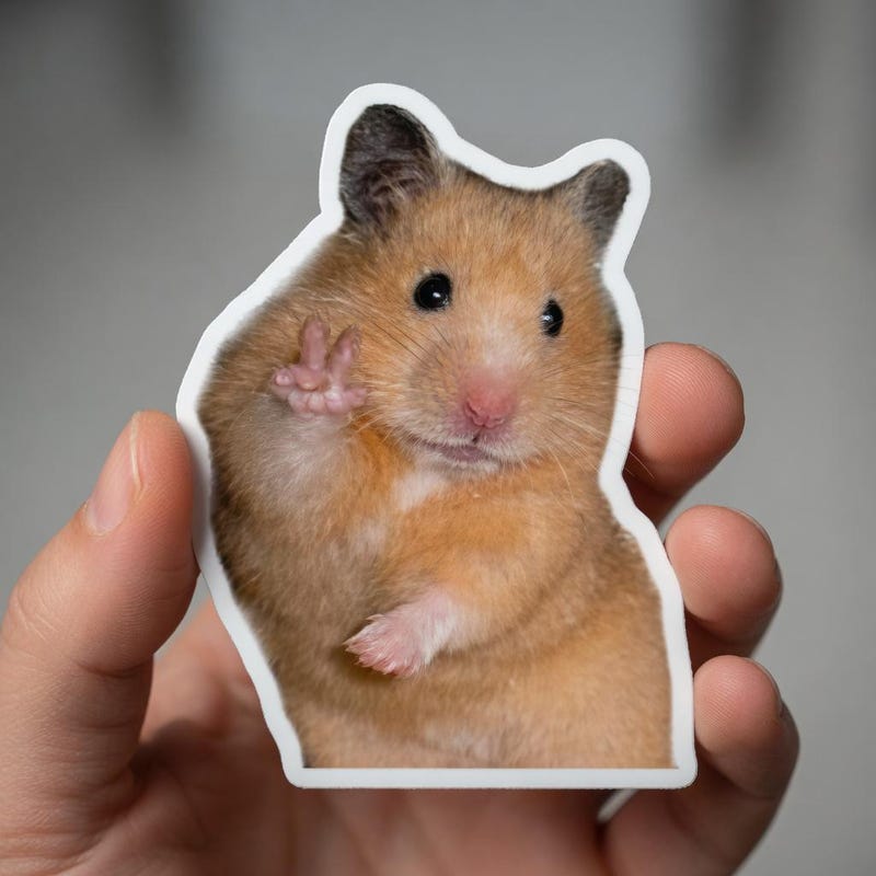 Hamster Stickers - Etsy