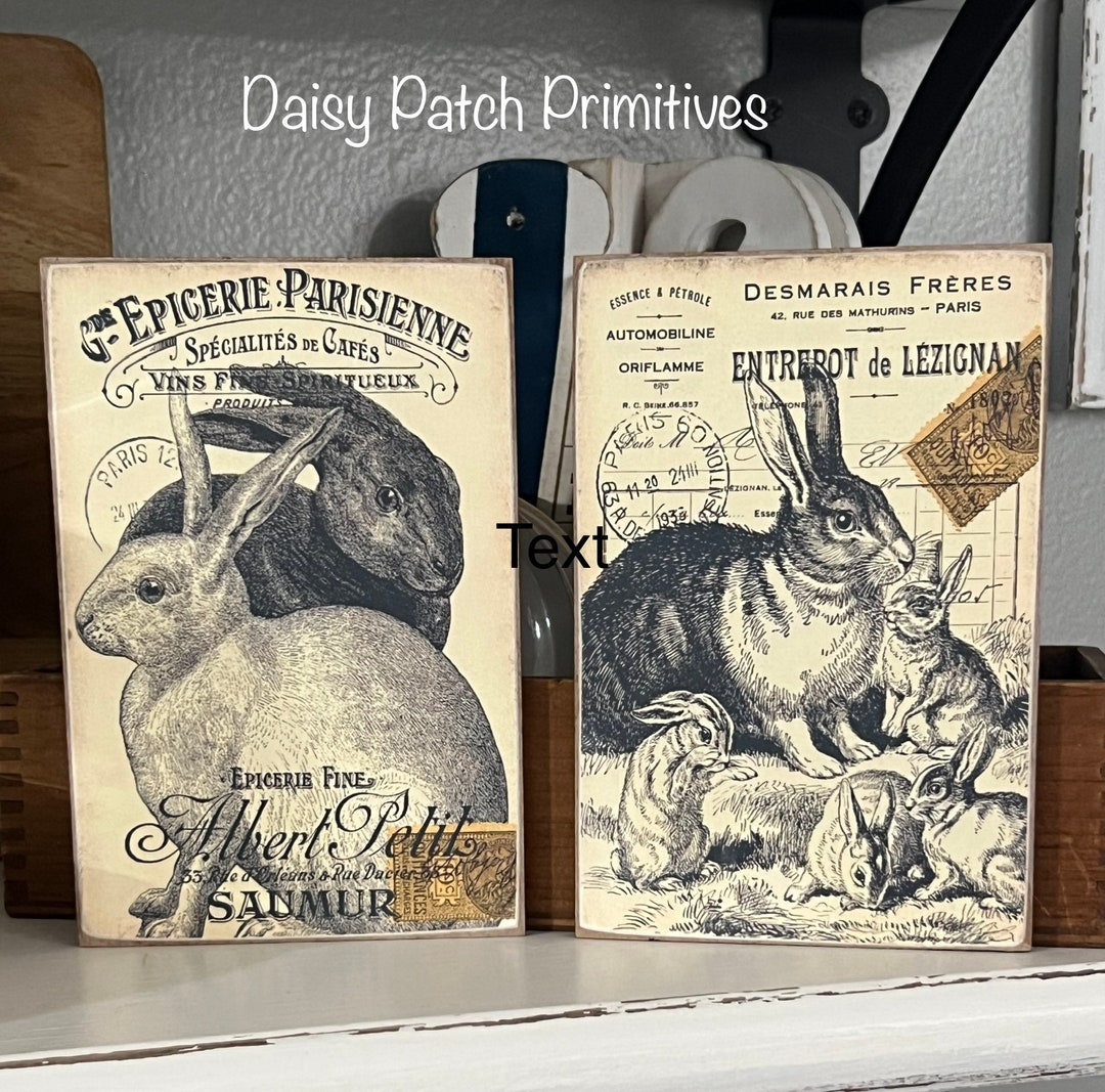 Spring Rabbit Shelf Sitter Signs ~ Set of Two ~ Tiered Tray Signs ...