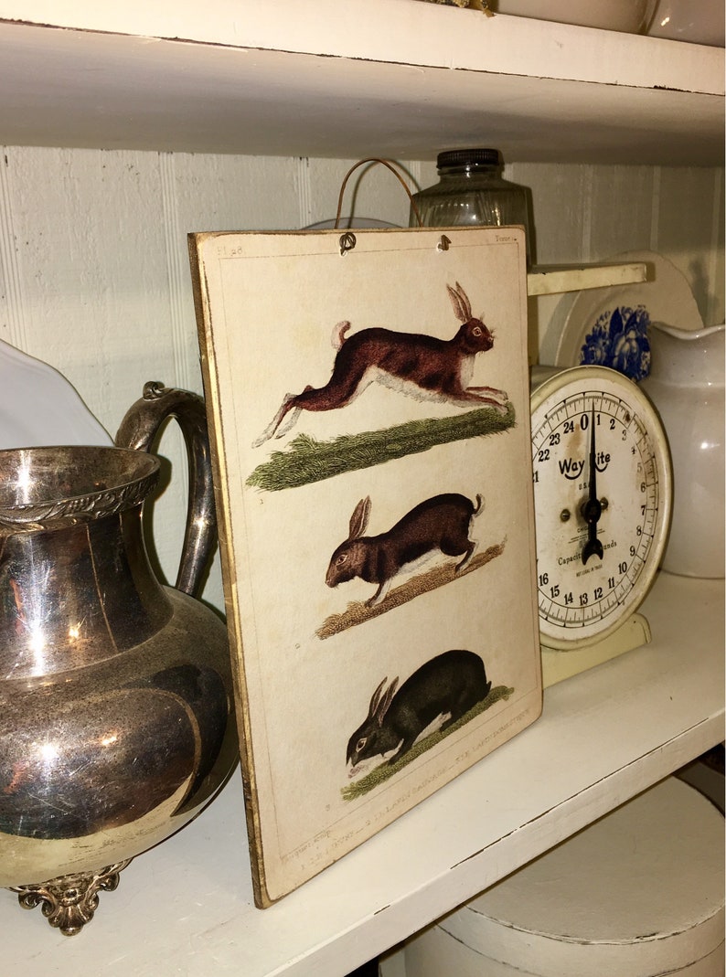 Rabbit Signrabbit Plaqueeaster Decorspring Decorfarmhouse | Etsy