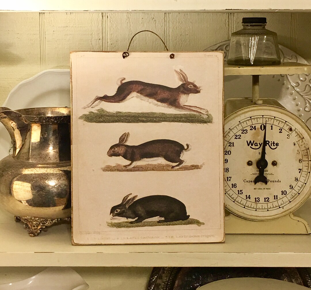 Rabbit Sign,rabbit Plaque,easter Decor,spring Decor,farmhouse Decor ...