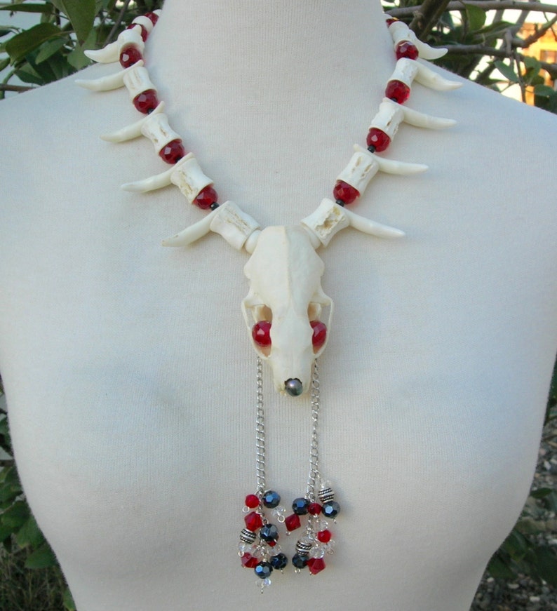 Blood & Bones Real Mink Skull Snake Vertebrae Coyote/wolf - Etsy