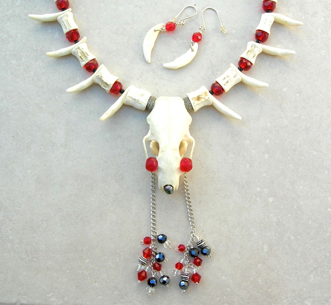 Blood & Bones! Real Mink Skull, Snake Vertebrae, Coyote/wolf Teeth ...