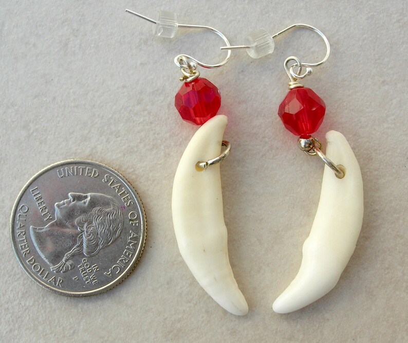 Blood & Bones Real Mink Skull Snake Vertebrae Coyote/wolf - Etsy