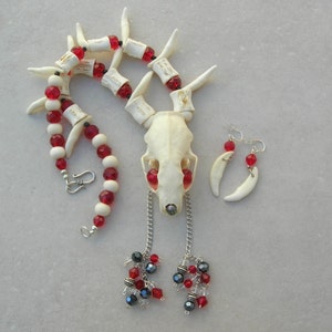 Blood & Bones! Real Mink Skull, Snake Vertebrae, Coyote/wolf Teeth ...