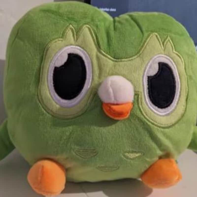 Duolingo Merch - Etsy