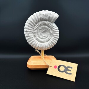 Elegant Ammonite Sculpture | Natural Fossil-inspired Decor | Hand ...